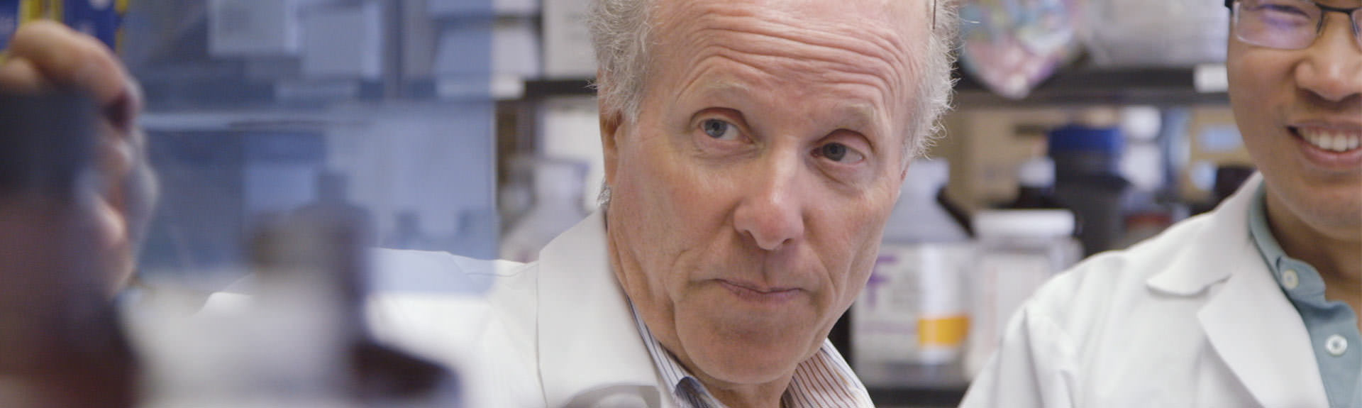 Press Releases & In the News | Mount Sinai - New York