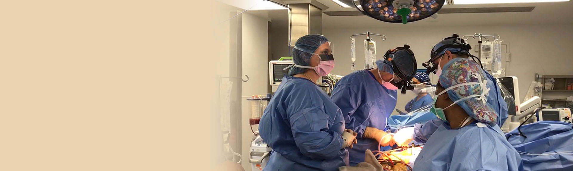 Heart Cardiovascular Surgery At Mount Sinai Morningside Mount Sinai